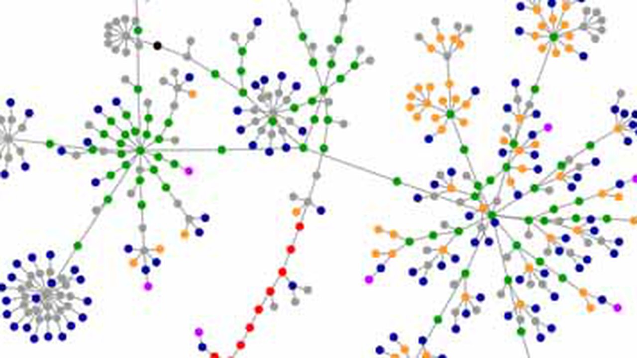 Video What The Large Scale Structure Of Networks Can Tell Us About