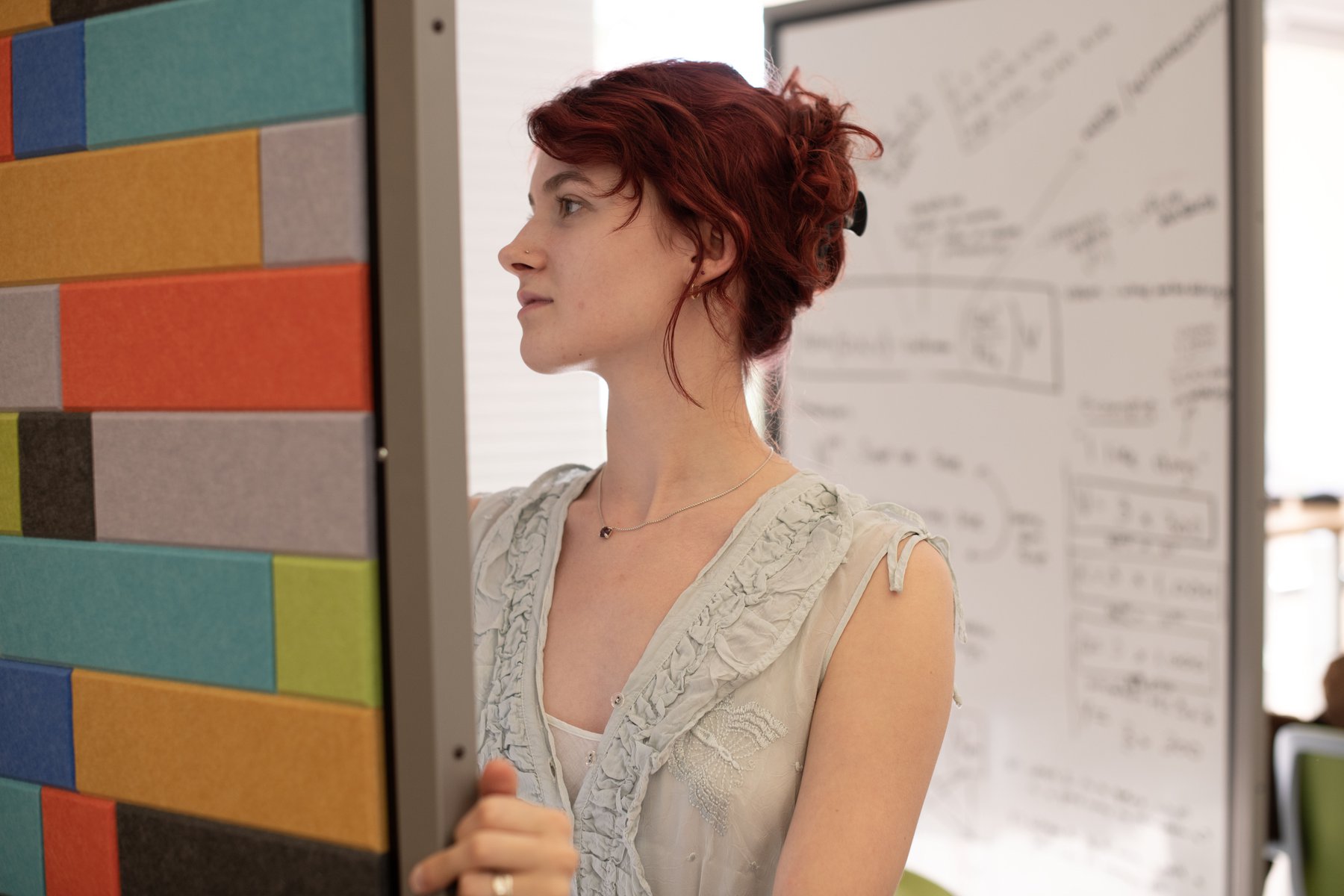Courses: Undergraduate Complexity Research | Santa Fe Institute