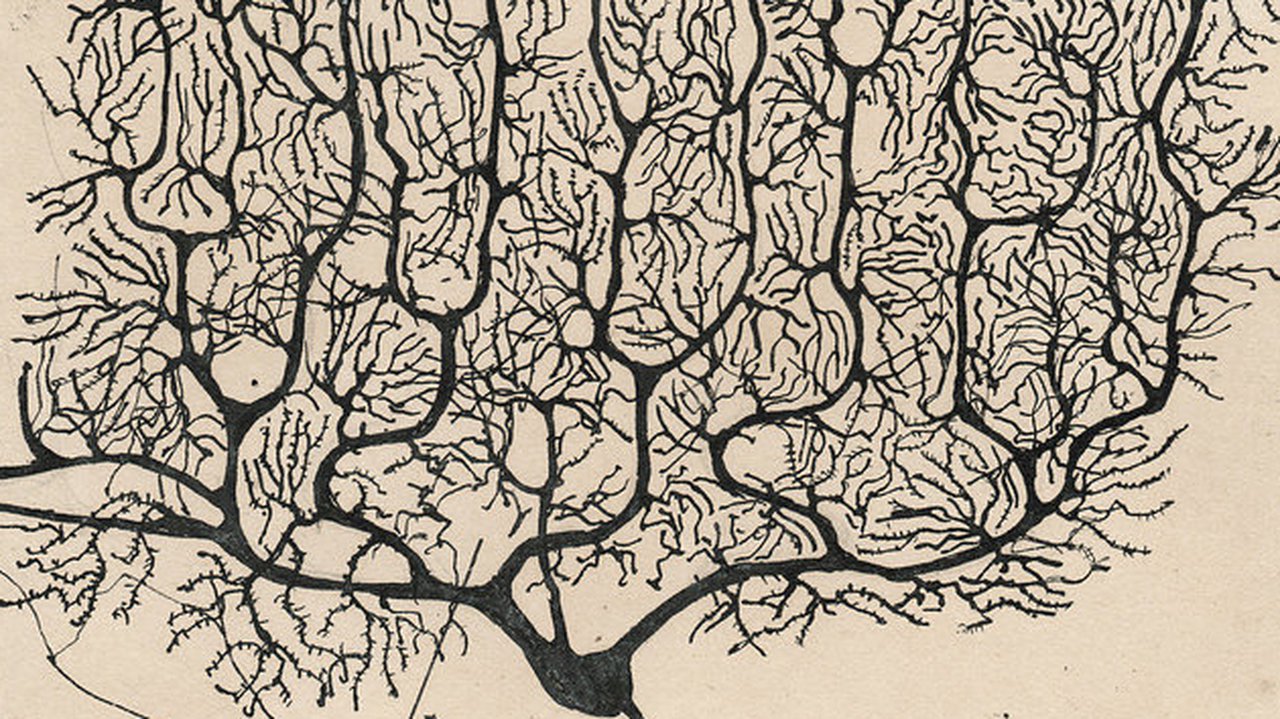 Events: How the Brain Makes You: Collective Intelligence and ...