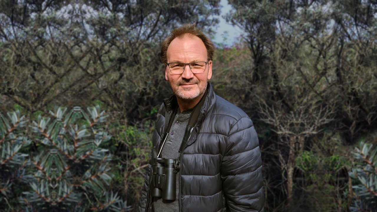 SFI External Professor André de Roos awarded King Carl XVI Gustaf's ...