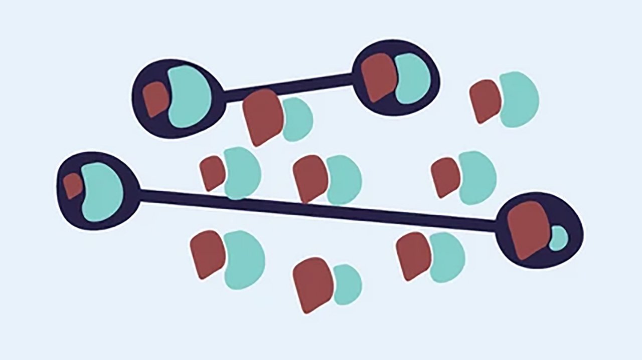 New study helps explain why people cooperate when no one is looking ...