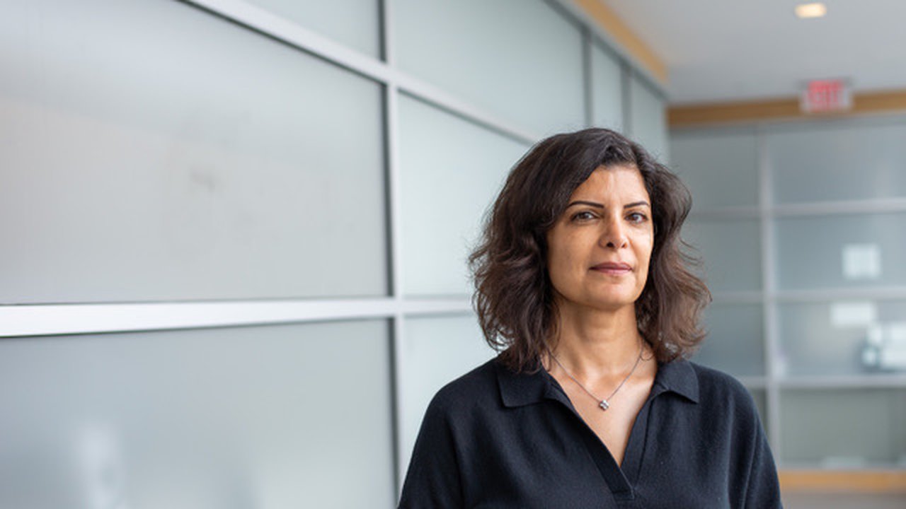 Tina Eliassi-Rad awarded the Lagrange Prize | Santa Fe Institute