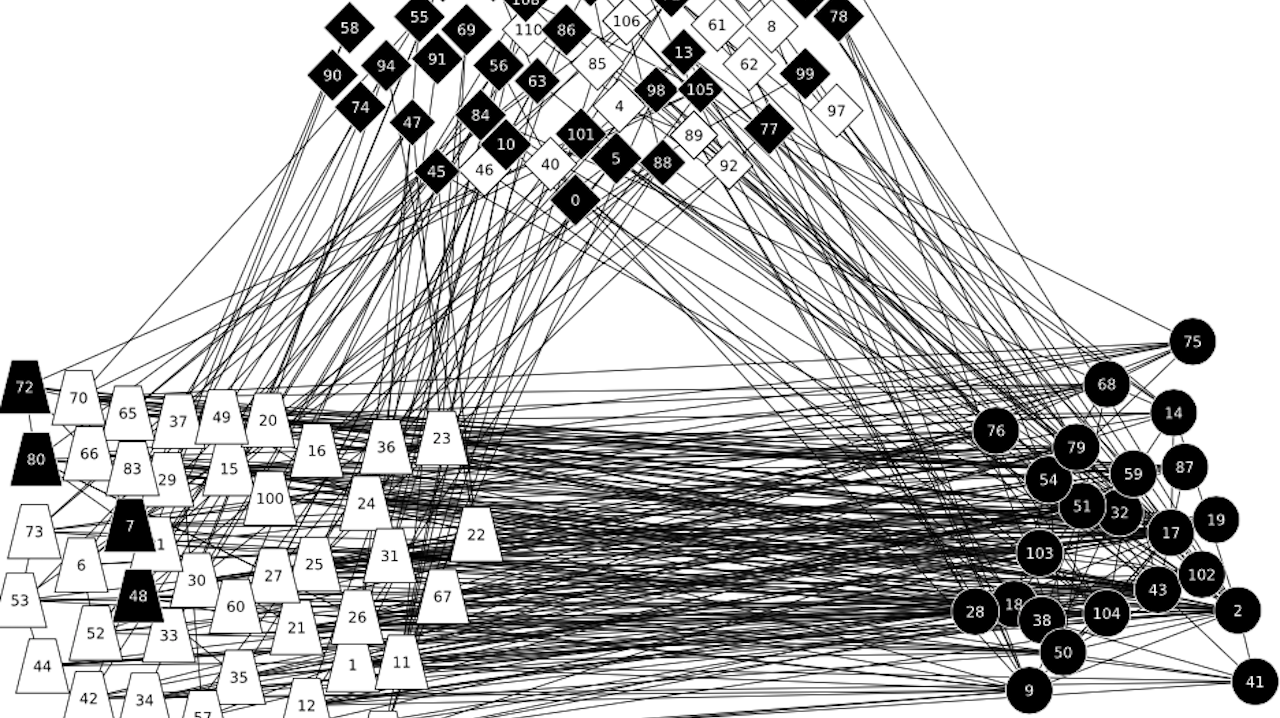 Understanding networks through machine learning | Santa Fe Institute