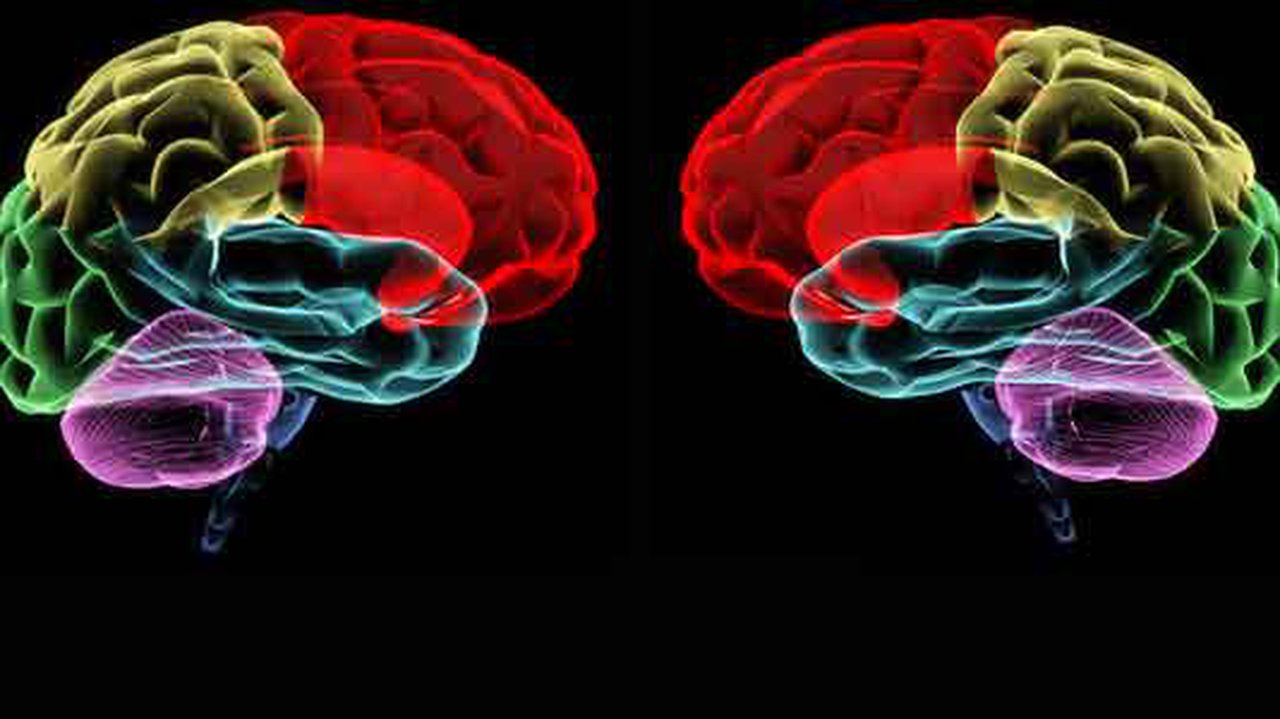 How the brain handles big data | Santa Fe Institute
