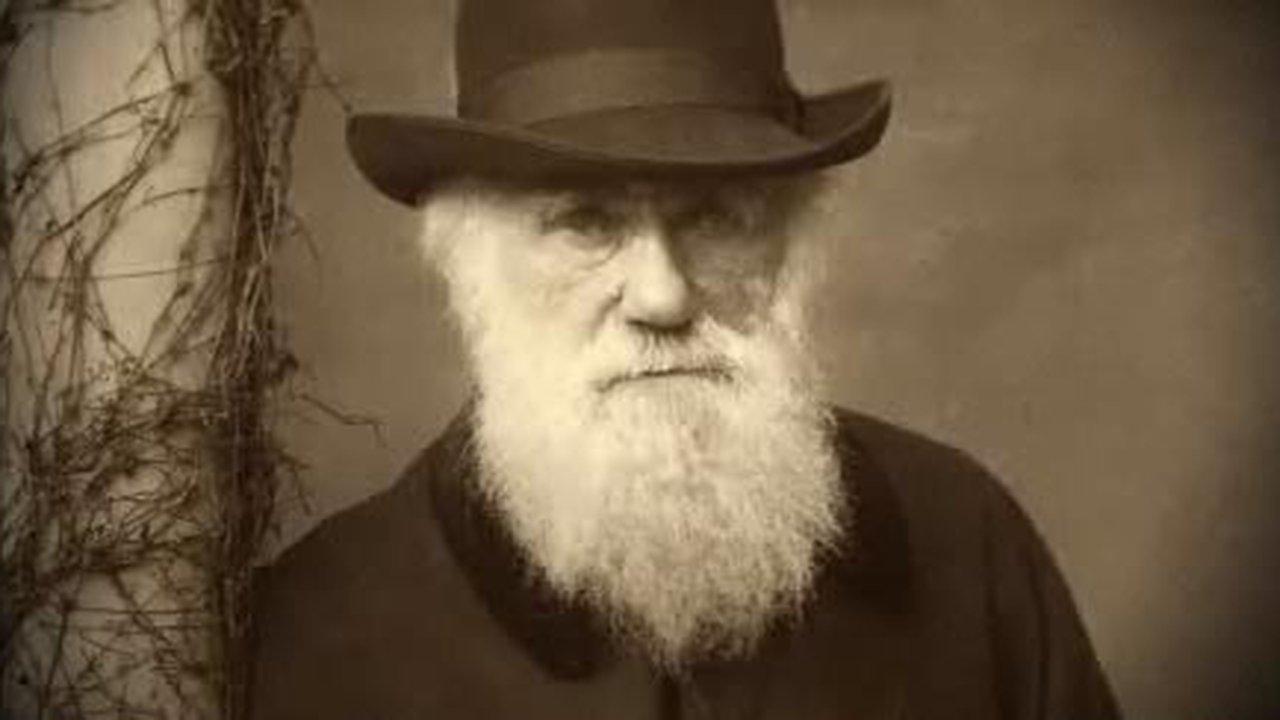 Darwin’s extra sense: How mathematics is revolutionizing biology ...