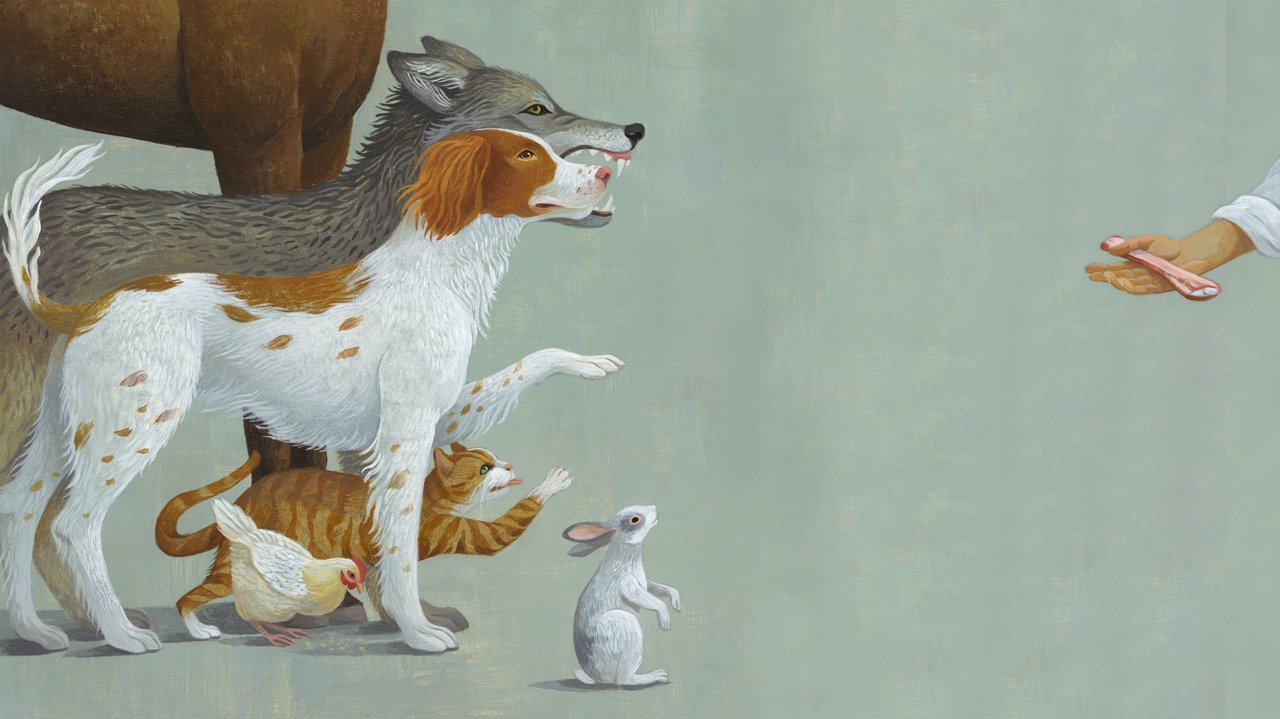 Working group chases wild ideas on domestication | Santa Fe Institute