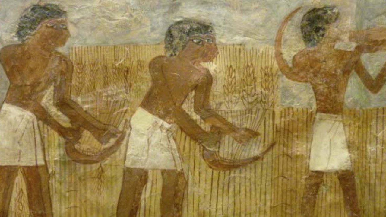 Human transition from foraging to farming was a gradual co-evolution ...