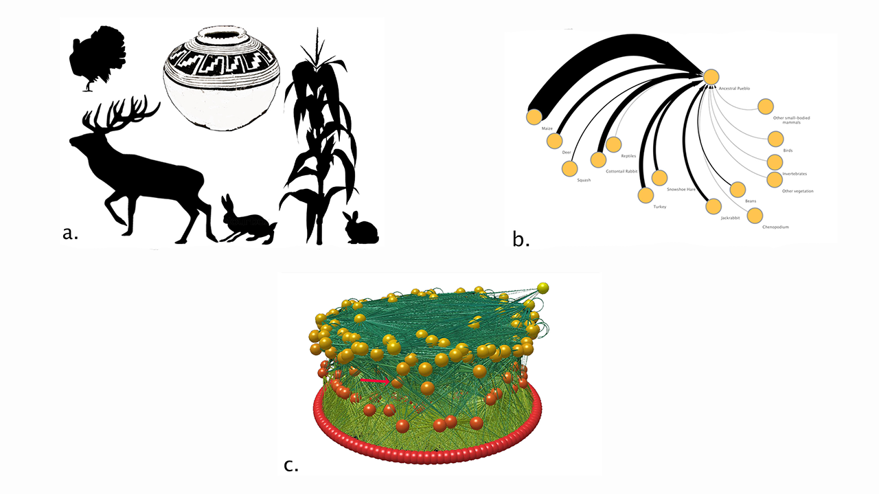 Ancient food webs can chart sustainable futures | Santa Fe Institute