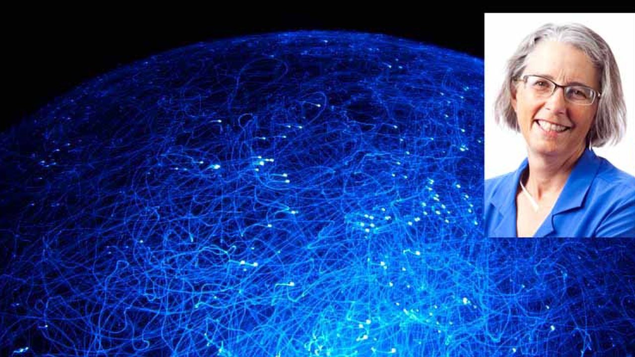 Stephanie Forrest named IEEE Fellow for 2015 | Santa Fe Institute