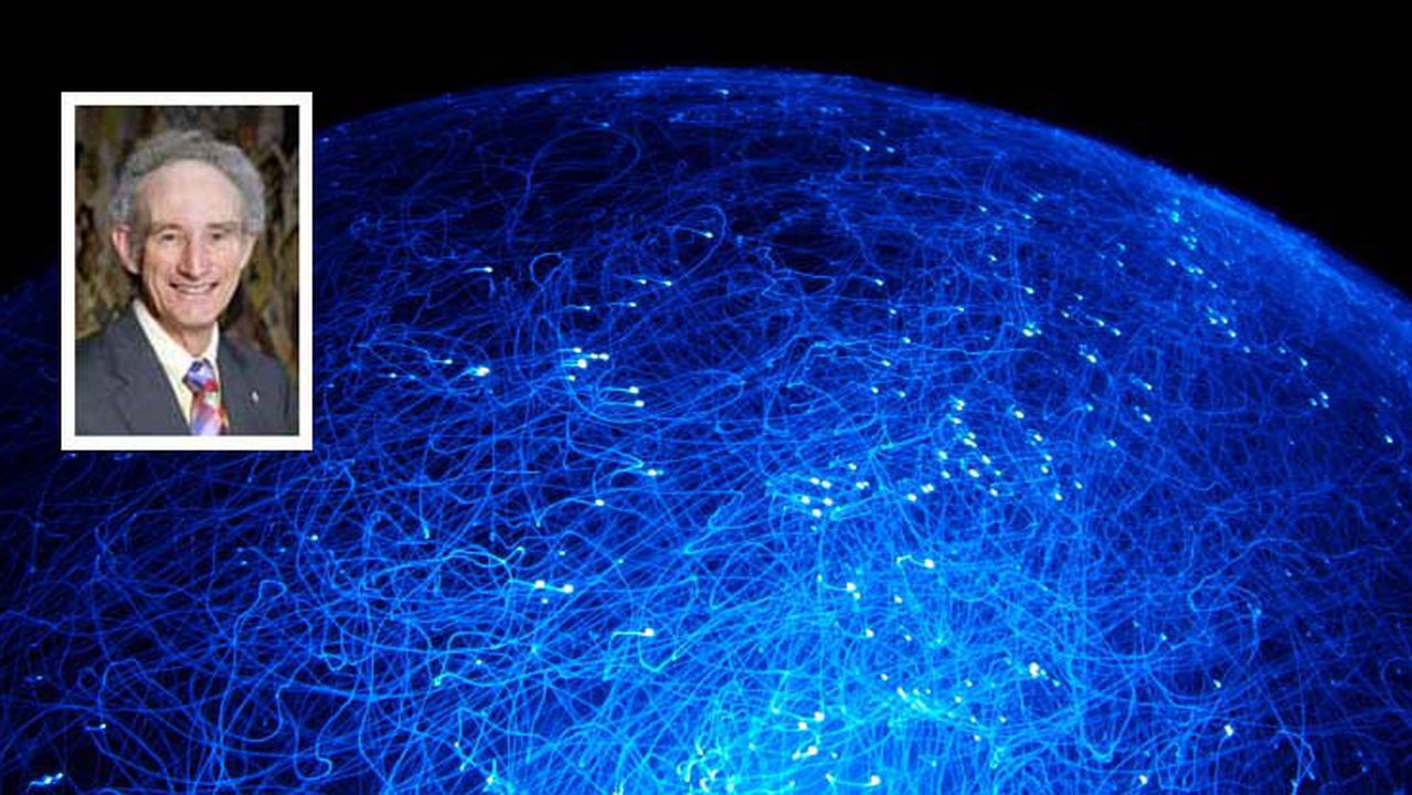 Video: Three lectures by Robert May on beauty, banking, & our world's ...