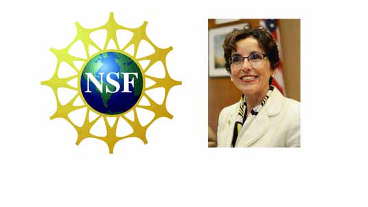 SFI visiting scholar named to head National Science Foundation | Santa ...