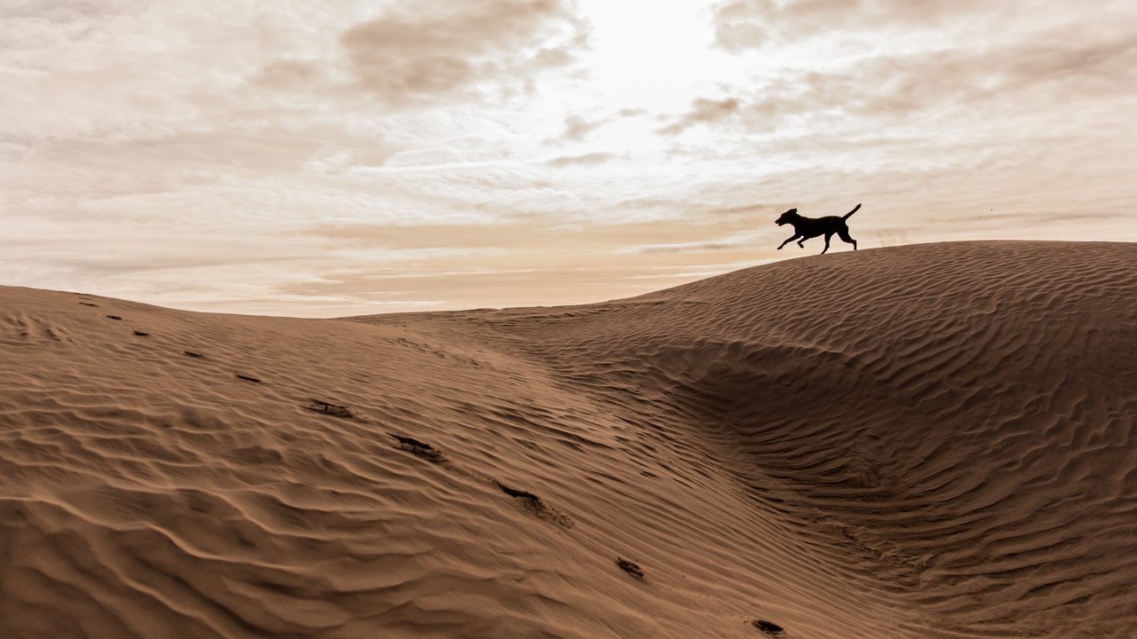 David Wolpert: A sliver of reality (Aeon) | Santa Fe Institute