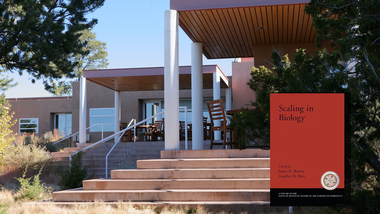Workshop addresses long-standing debates in biological scaling | Santa ...
