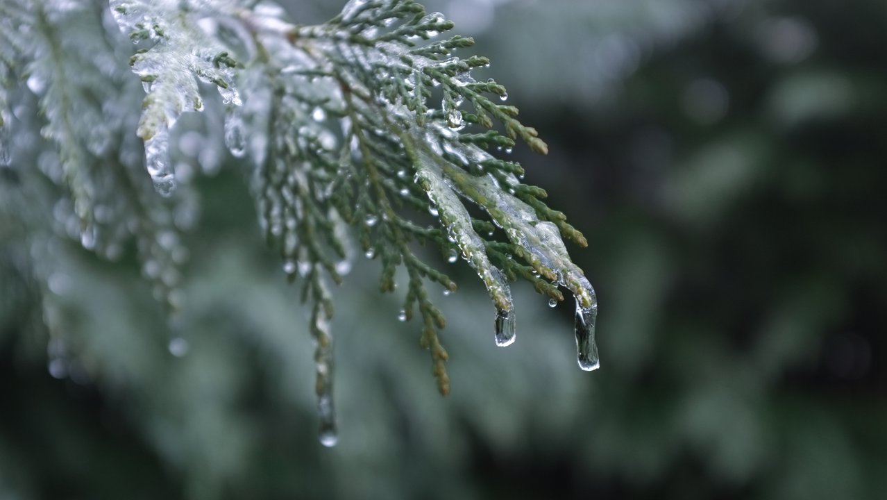 Phase transitions in big data | Santa Fe Institute