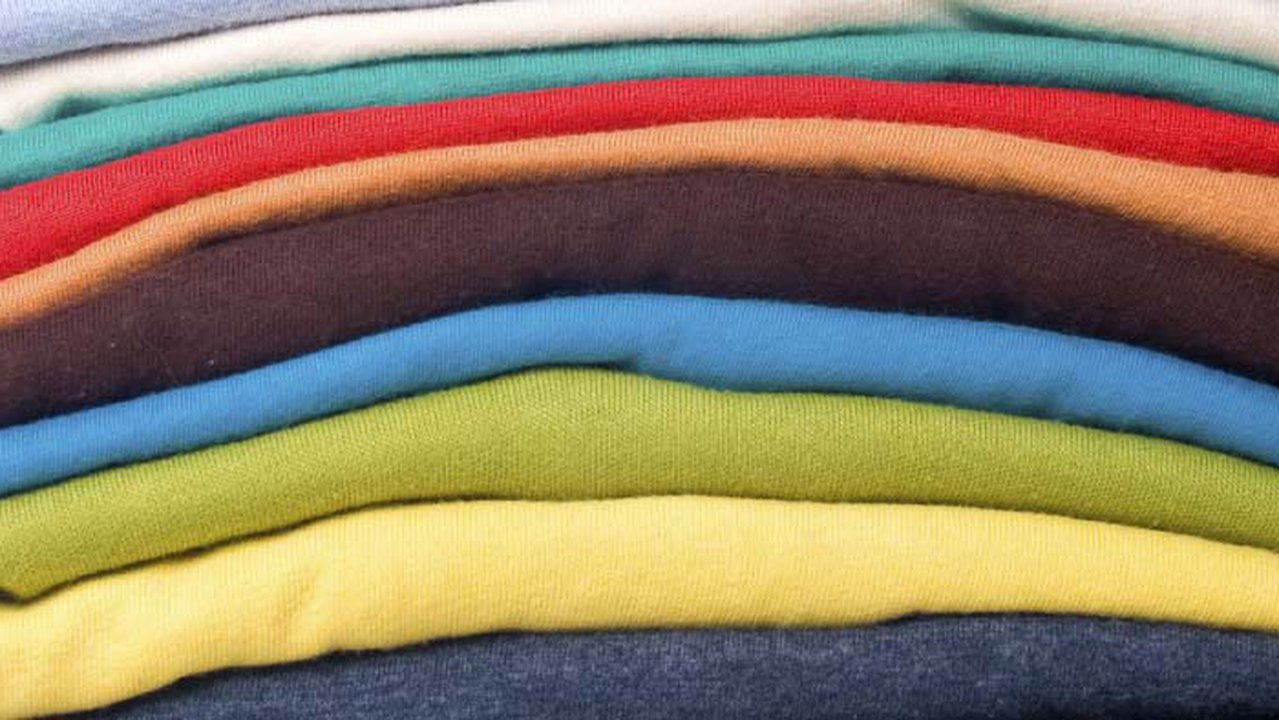 Enter SFI's T-shirt slogan contest and win a priceless memento | Santa ...