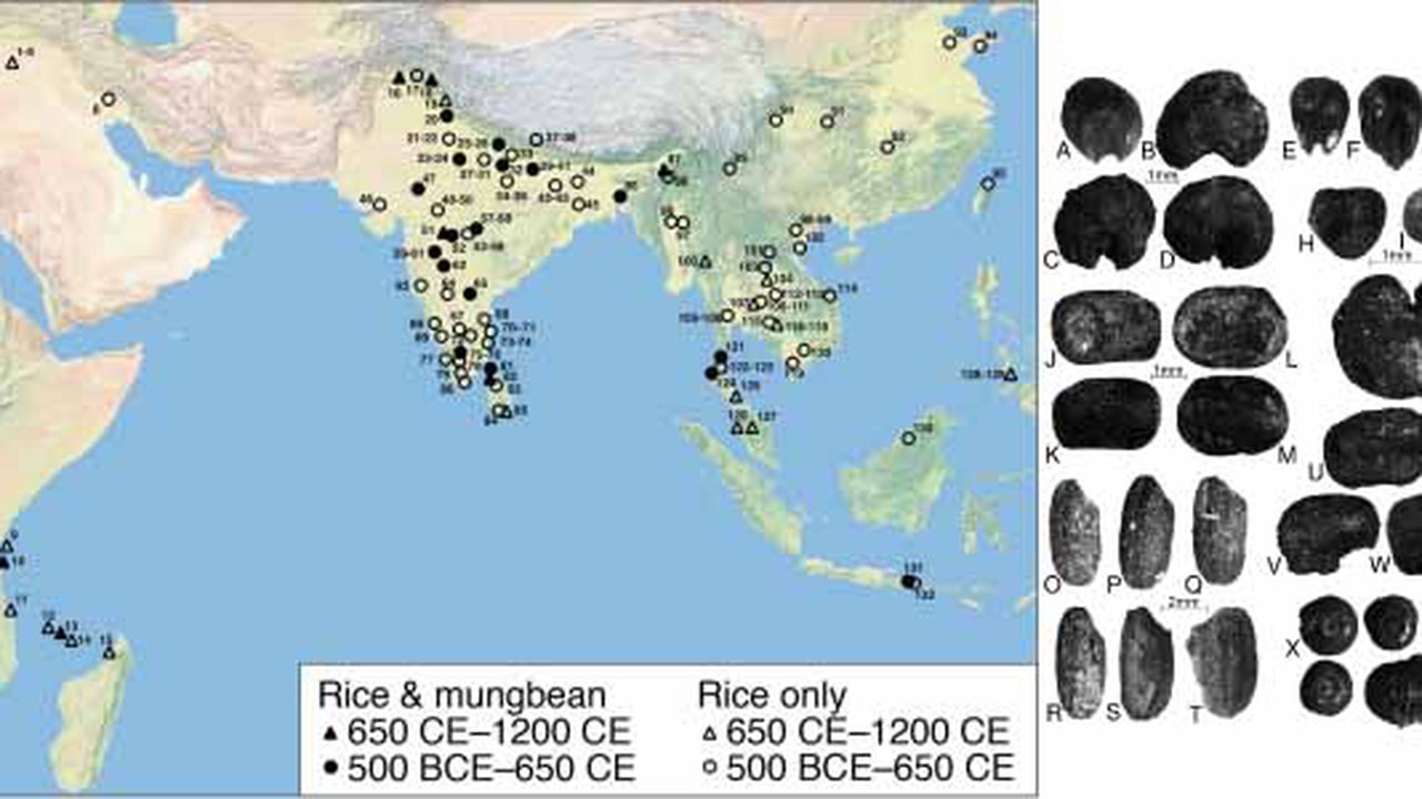 Crop prevalence adds to evidence of human migration patterns | Santa Fe ...