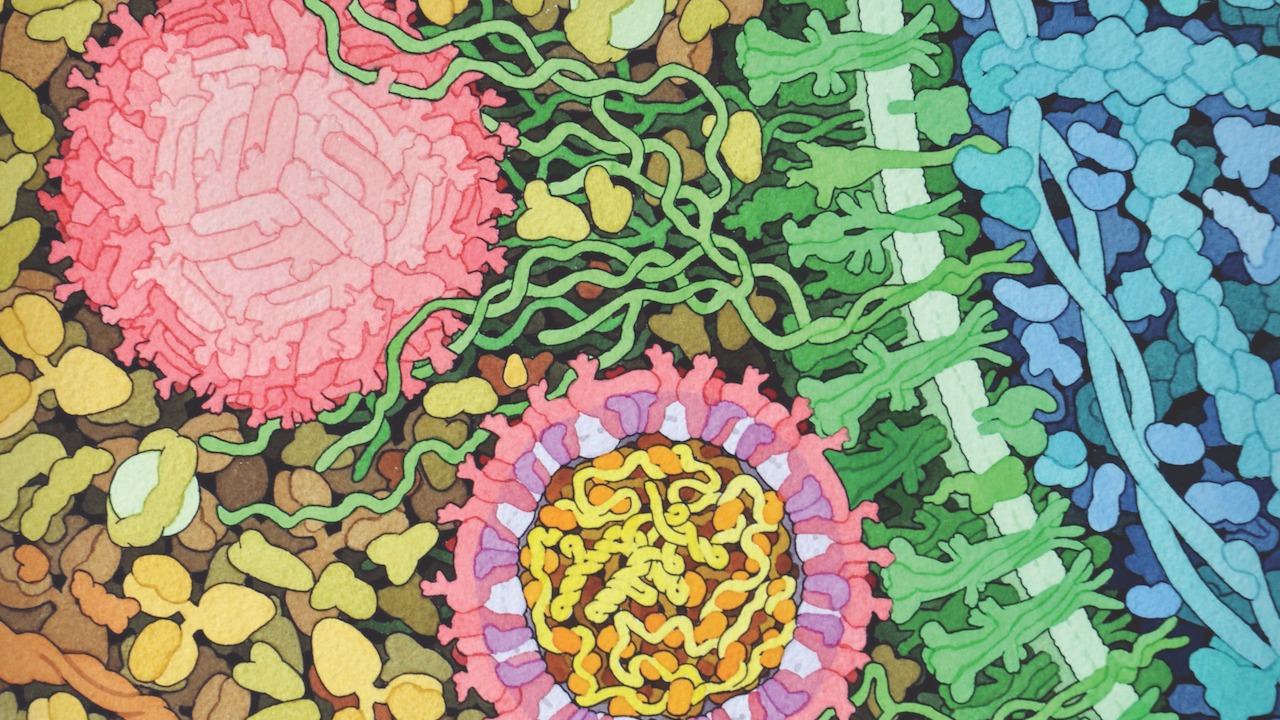 Approaching virology at different scales | Santa Fe Institute